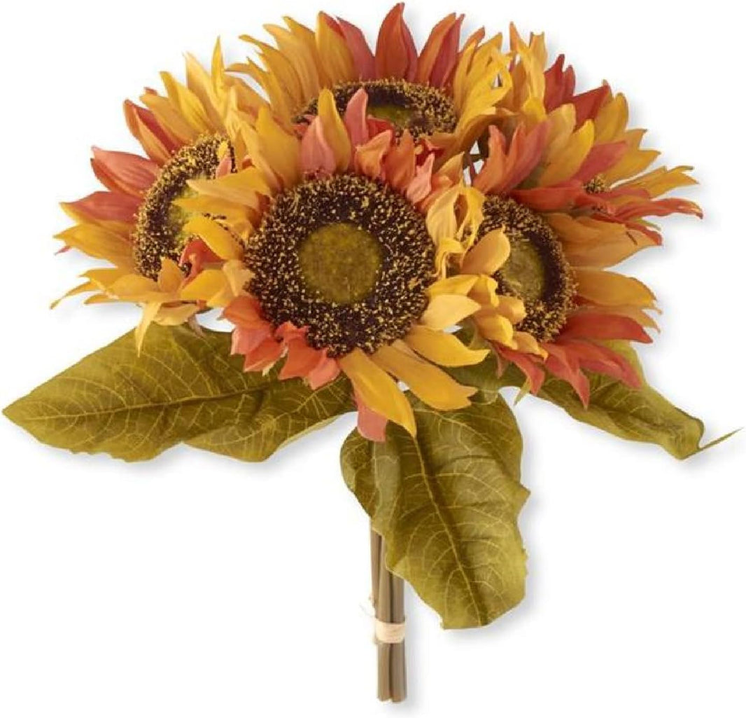 Looks what’s new – Cotton Down South